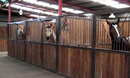 Cómo es un establo | Características del establo