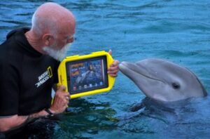 Cómo se comunican los delfines y su inteligencia